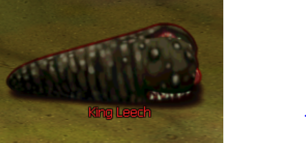 king leech.PNG