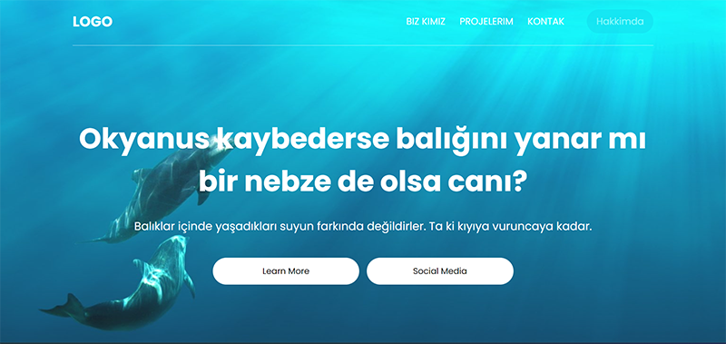 GitHub - Ugur-Yalcin/Website1-Programmierung: HTML Responsive Website