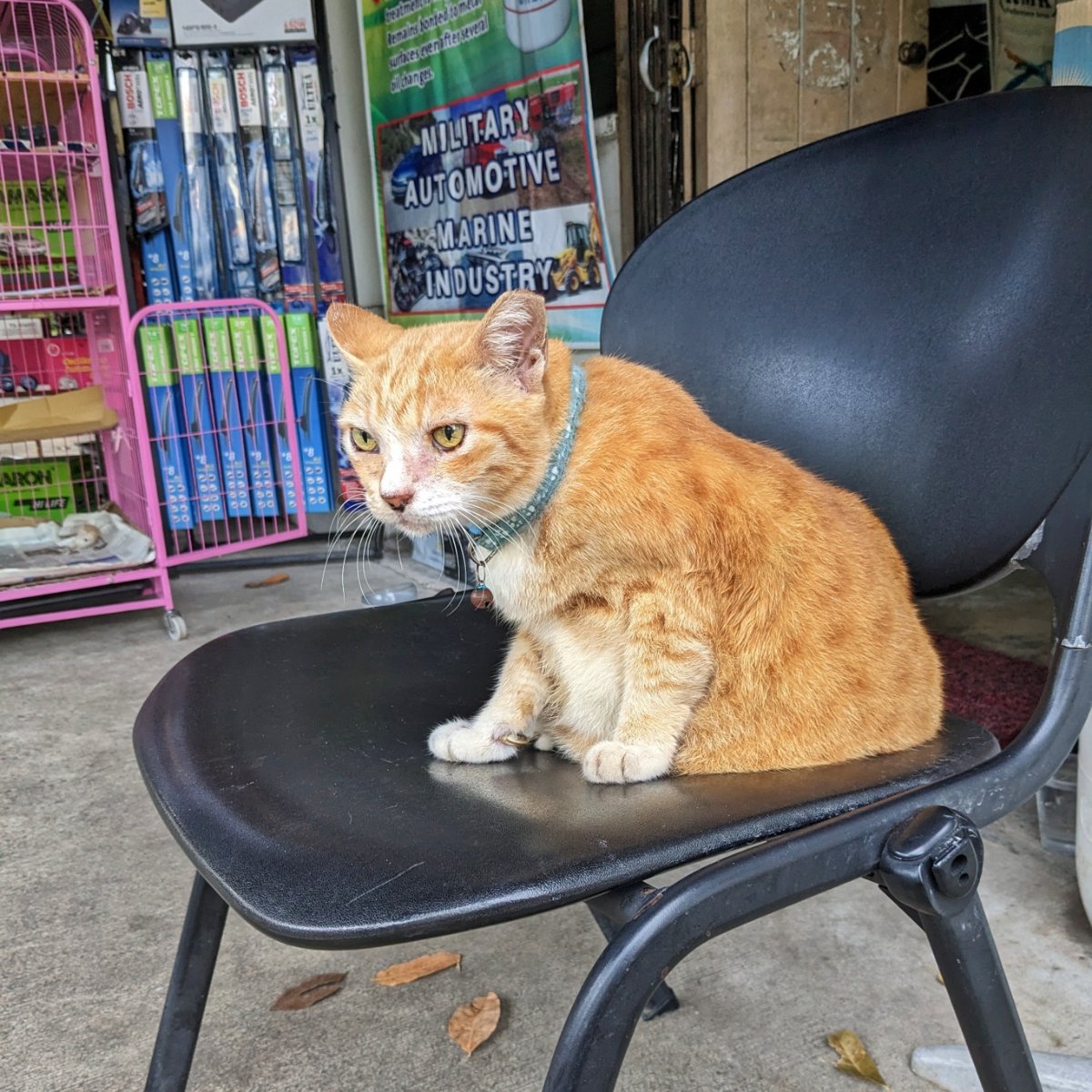 [GPGT] moi humble bfast ~ 🥢 | HardwareZone Forums