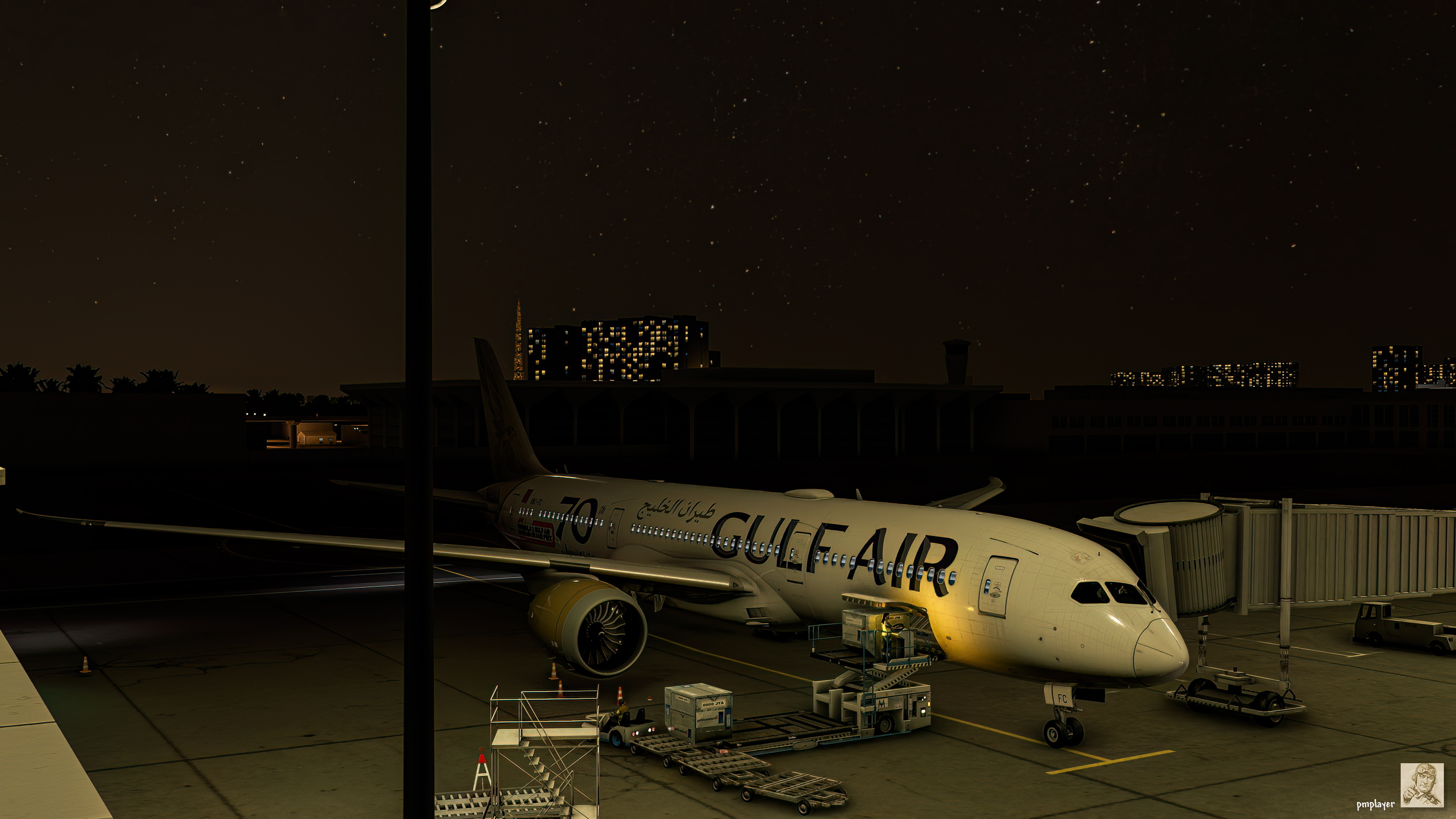 Past flight - 789 HEGN to OMDB - The AVSIM Screen Shots Forum - The AVSIM Community